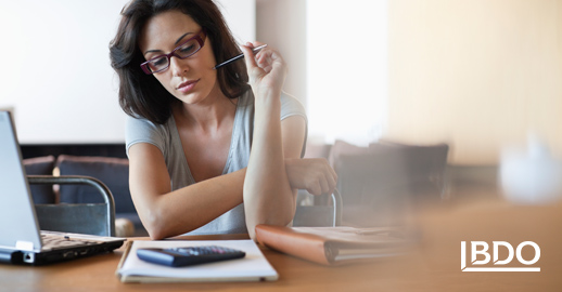 Internal Audit Reports - Risk Exposure & Controls | BDO NZ - BDO