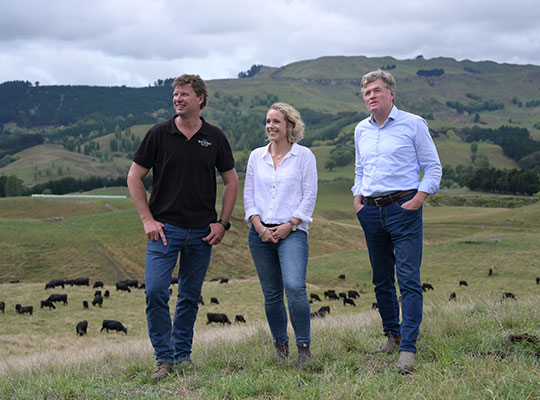 Innovation breeds success: Matangi Station’s innovation journey from ...